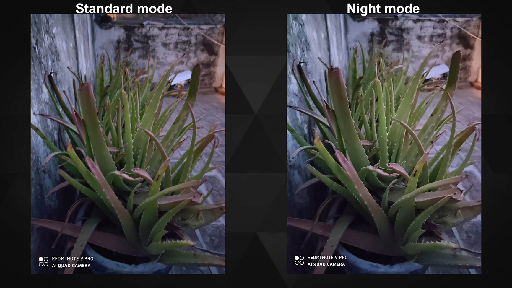 Redmi Note 9 Pro camera review - Camera monster but - Mr MuBot